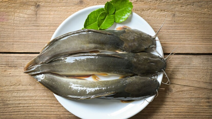Boneless Fish: ఈ చేపల్లో ఒక్క ముల్లు కూడా ఉండదు.. ఇవి పిల్లలకు ఫేవరెట్ ...