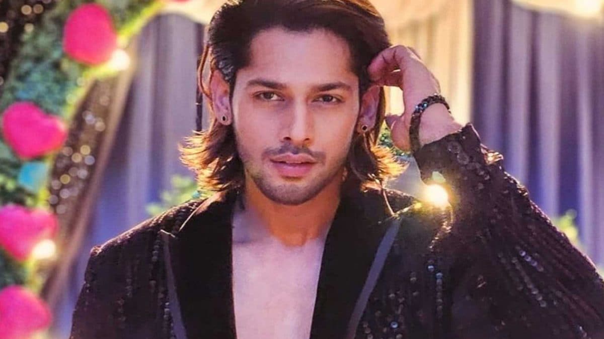 Baseer Ali Says ‘Heavy Politics’ On Kundali Bhagya Sets Prepared Him ...
