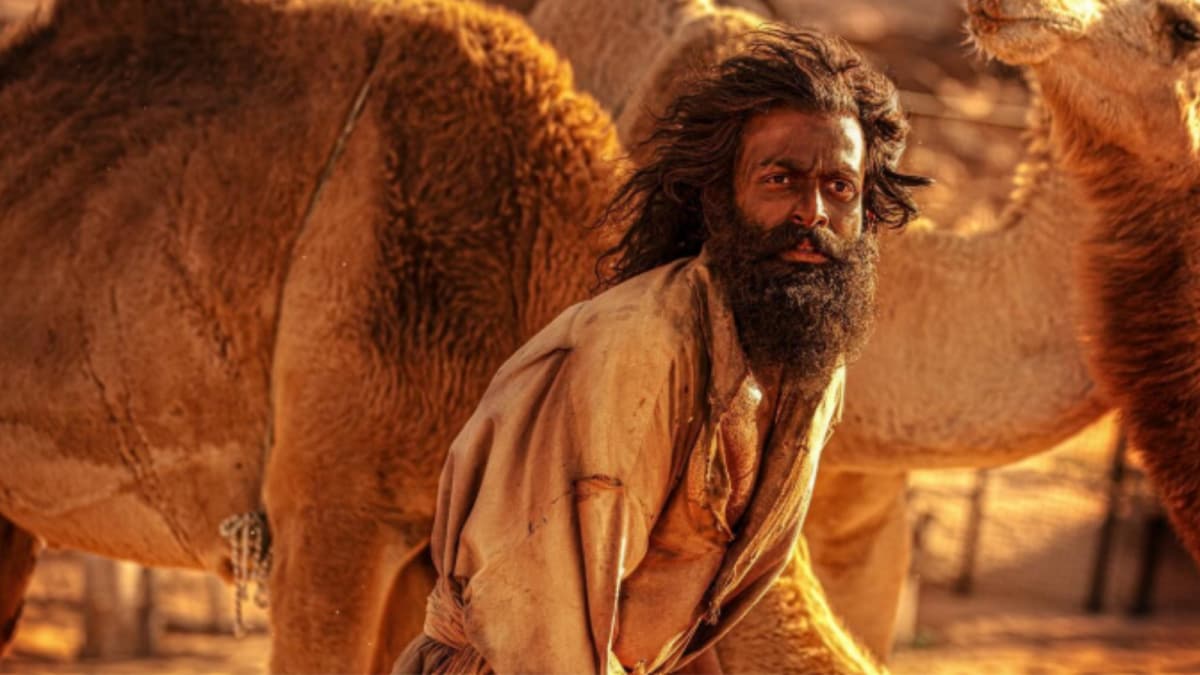 'Not For For 10 People To Sit And Grade': Prithviraj Sukumaran On The ...