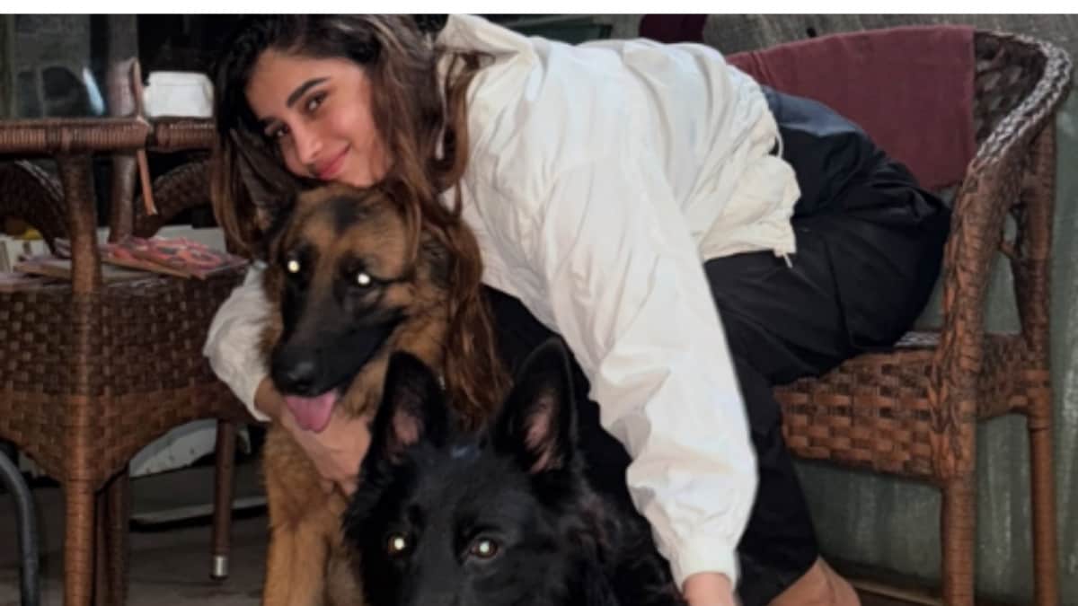 Rasha Thadani Shares Story Of Rescuing Stray Dogs And Cats, Urges ...