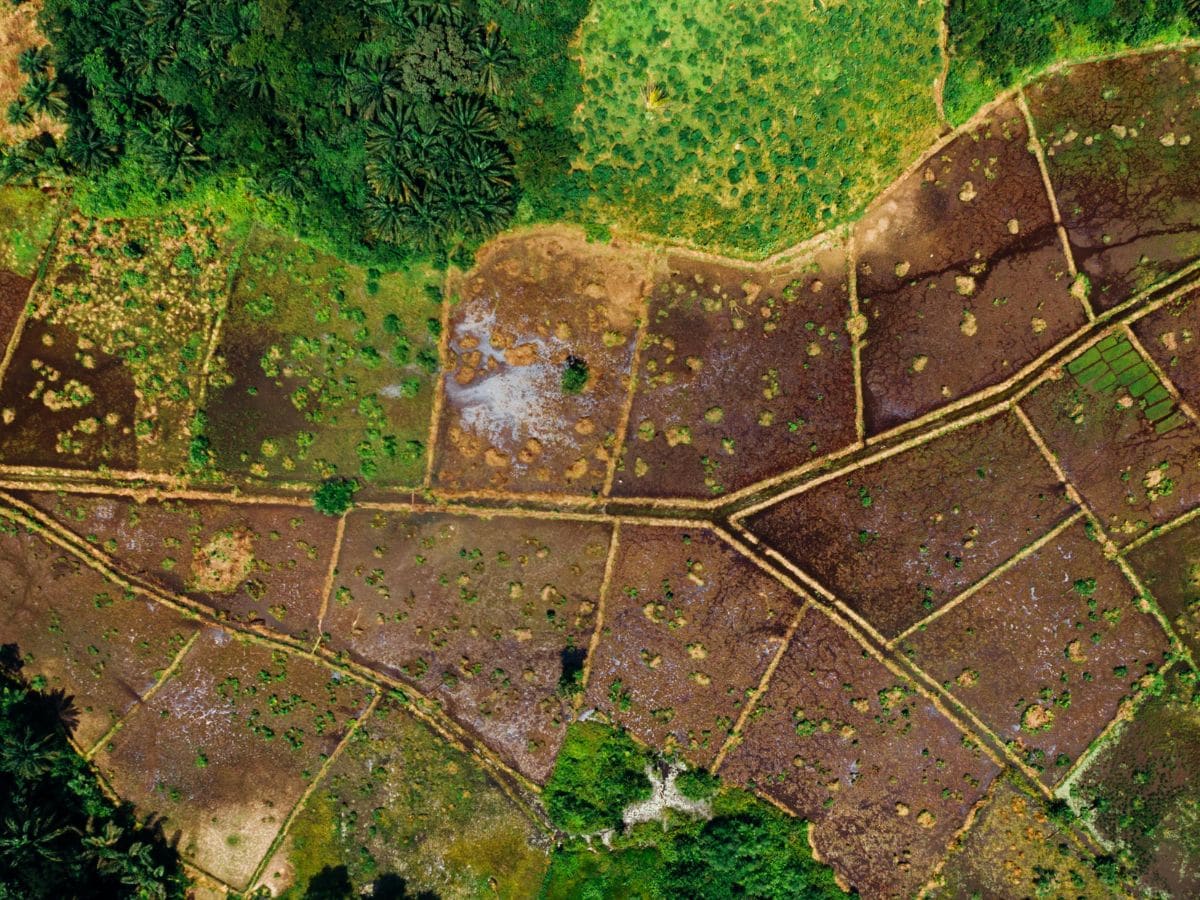 Land Measurement: Here’s How Many 'Gunta' And Square Feet Make One Acre