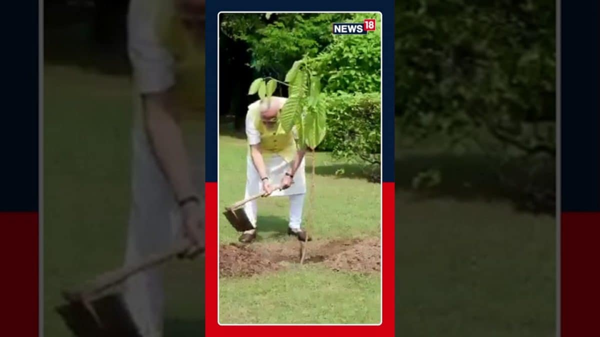 At His Residence, 7 Lok Kalyan Marg, PM Modi Planted A Kadamb Sapling ...
