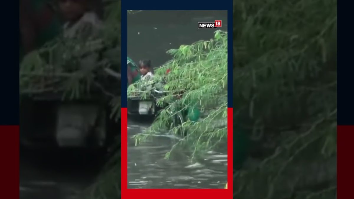 Delhi Rains 2025: Zakhira Underpass Severely Waterlogged | Major ...