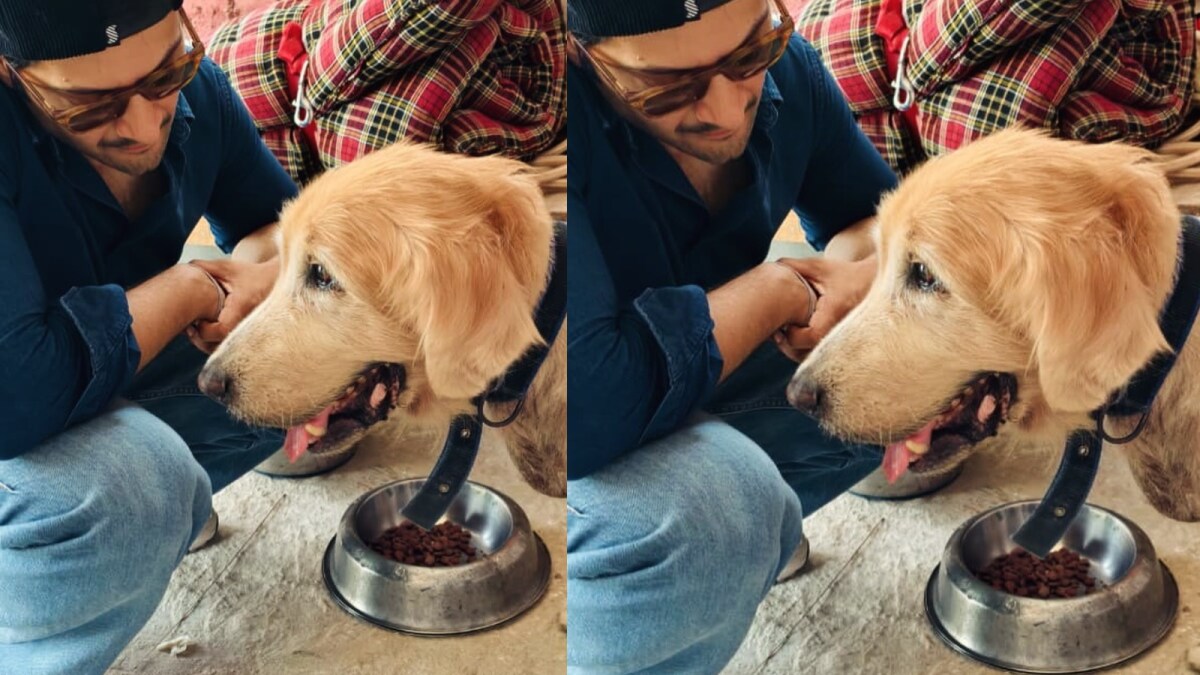 Bozo, The Golden Retriever, Is The Real Star Of Ali Fazal’s Latest Snap ...