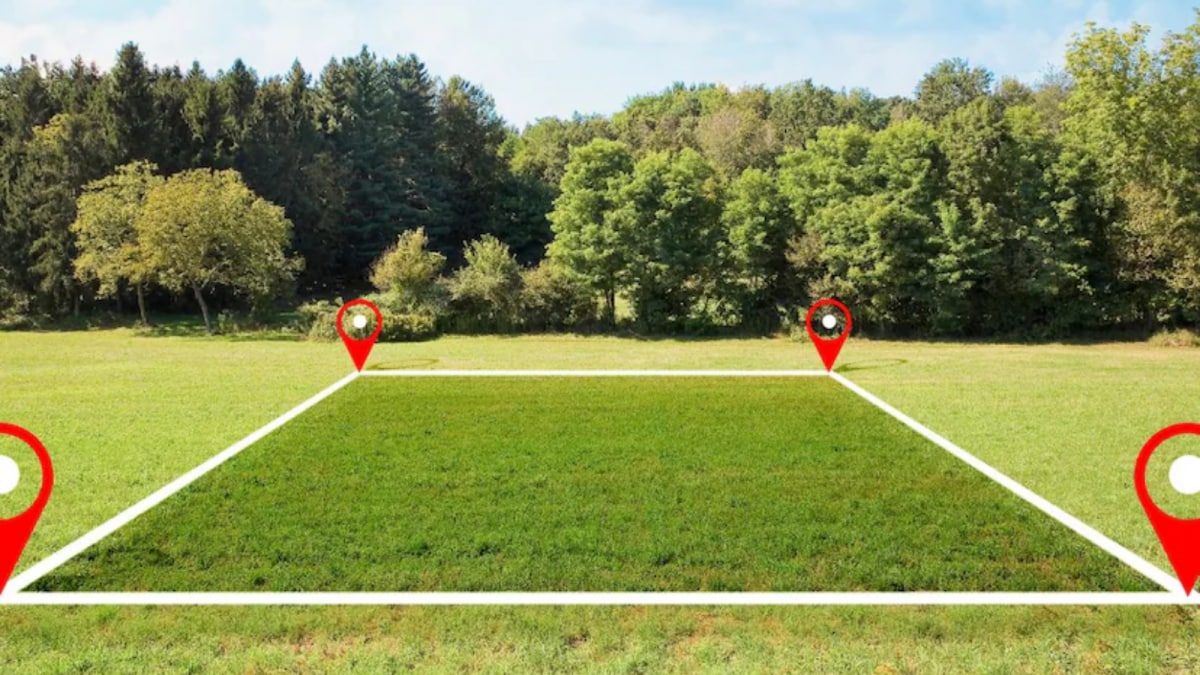 Land Measurement: Here’s How Many 'Gunta' And Square Feet Make One Acre
