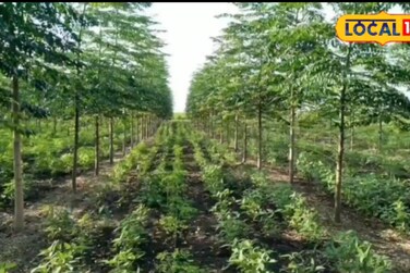 Malabar News: Latest Malabar News and Updates at News18