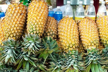 Pineapple News: Latest Pineapple News and Updates at News18