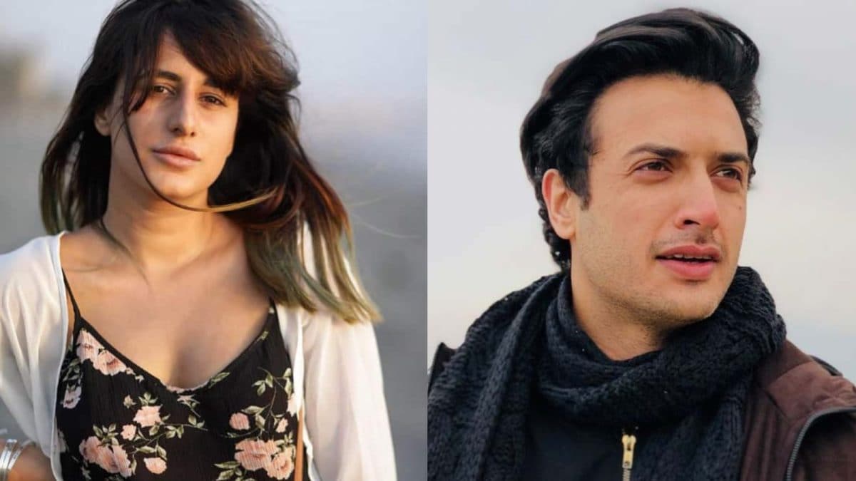 'Men Who Beat Women Still Get Work’: Saloni Chopra Calls Out Zain Khan Durrani After Songs Of ...