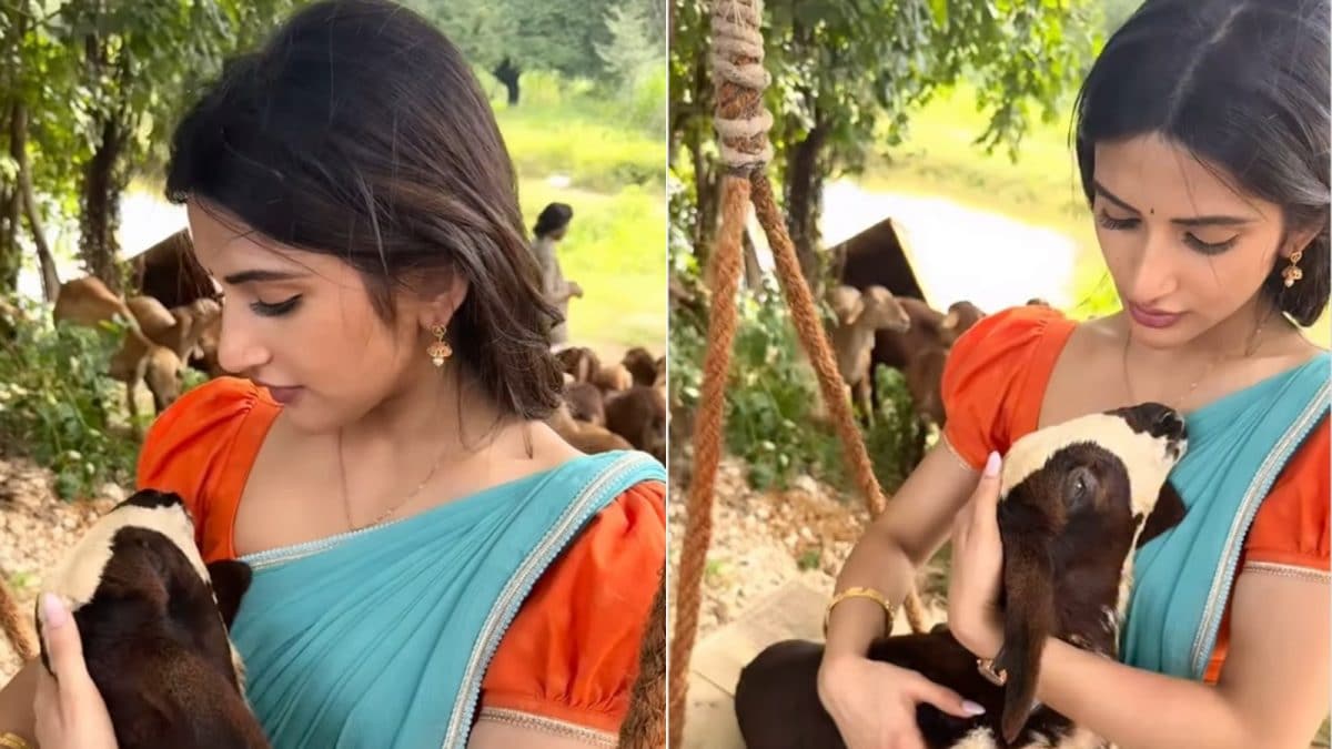 Sreeleela Recreates Iconic ‘Aa Okkati Adakku’ Scene On Mass Jathara ...