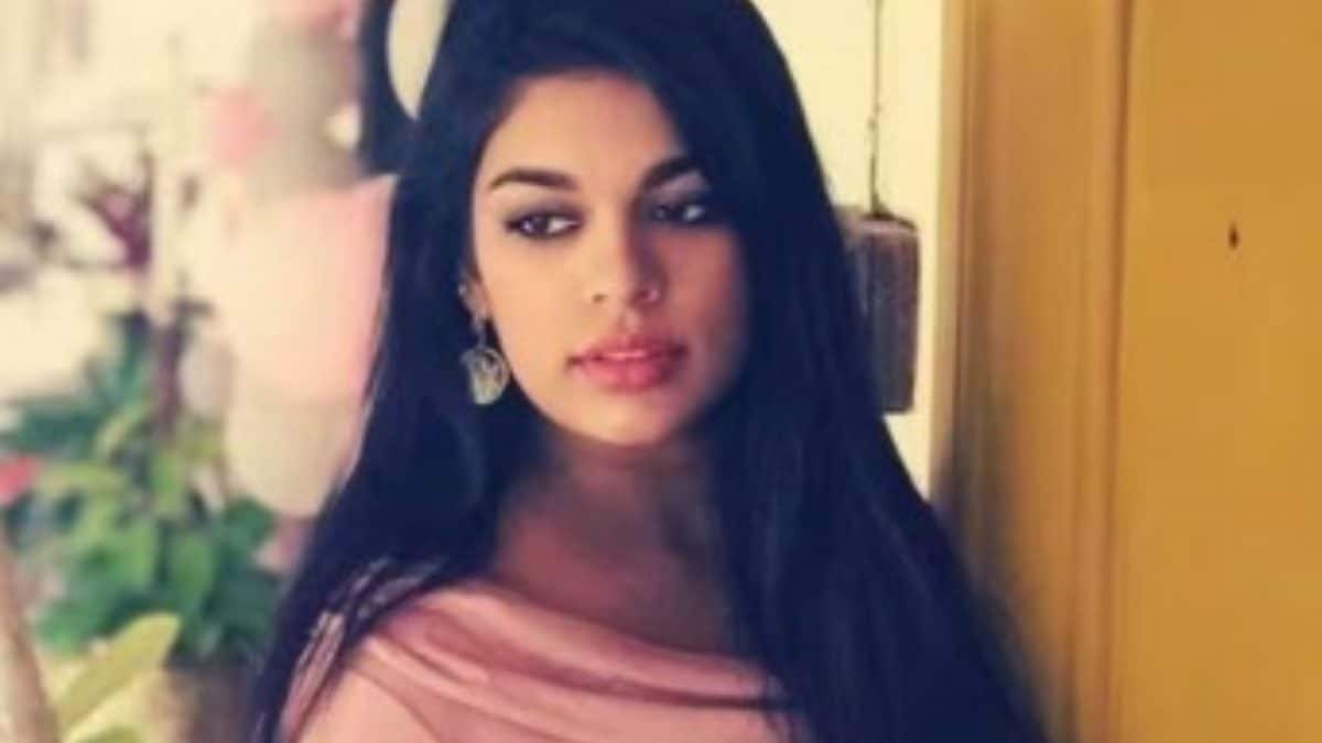 Mega Star's Daughter, Superstar's Sister: She Eloped At 19, Married ...