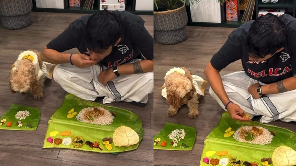 This Dog Sharing Sadhya With Man Is The Cutest Onam Post Online: ‘She ...