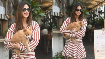 Harnaaz Sandhu Serves Glam, Makes An Appearance After Debut With Tiger ...