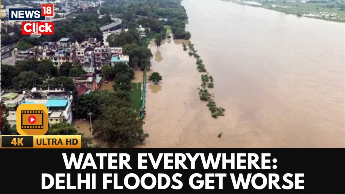 Delhi-NCR flood: IMD forecasts more rain for Delhi, Yamuna above danger ...