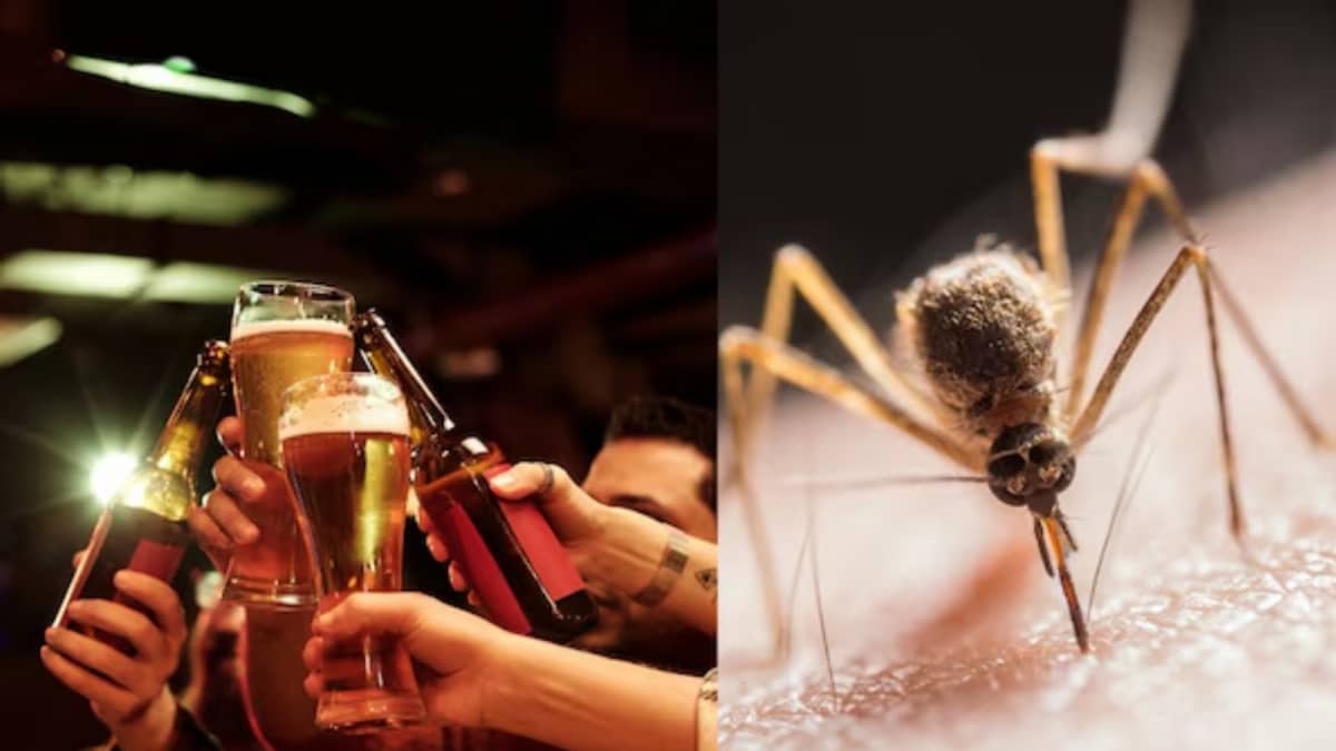 Your Beer Love Is Why Mosquitoes May Be Biting You More Than Others ...
