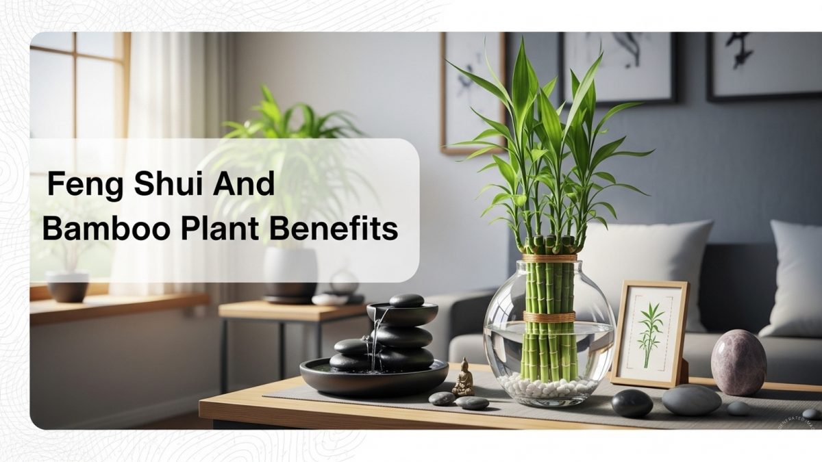 What Does Bamboo Symbolise In Feng Shui? Meaning, Placement And ...