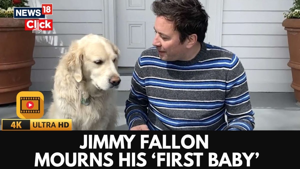 Jimmy Fallon Emotional Tribute | Losing His First Baby | Jimmy Fallon ...