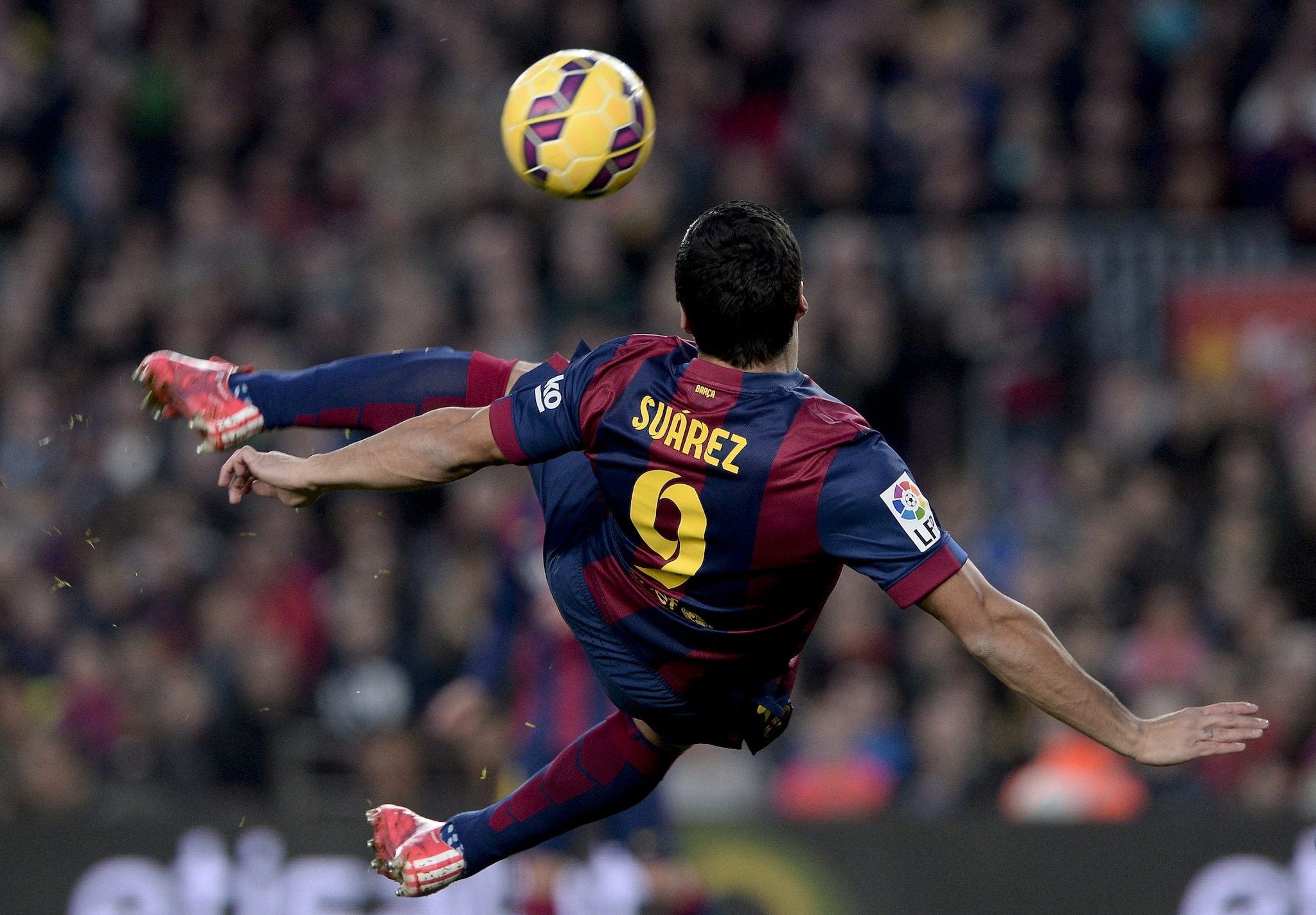 From Montevideo To Miami: Luis Suarez Strikes 600! Relive El Pistolero ...