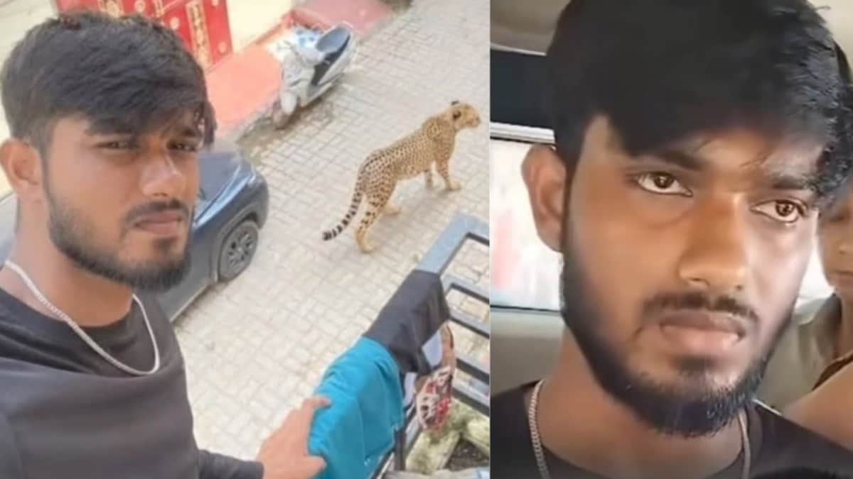 Lucknow Man Adds Leopard With AI, Shares ‘Near My House’ Photo. But Eagle-Eyed Desis Spot ‘Big ...