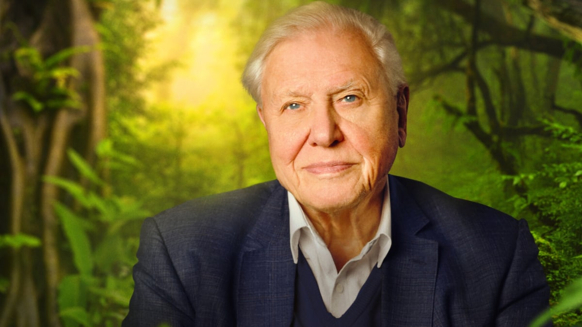 Sir David Attenborough, 99, Breaks Dick Van Dyke’s Record As Oldest ...