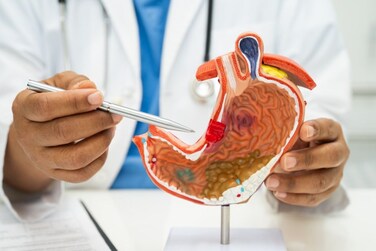 Stomach News: Latest Stomach News and Updates at News18
