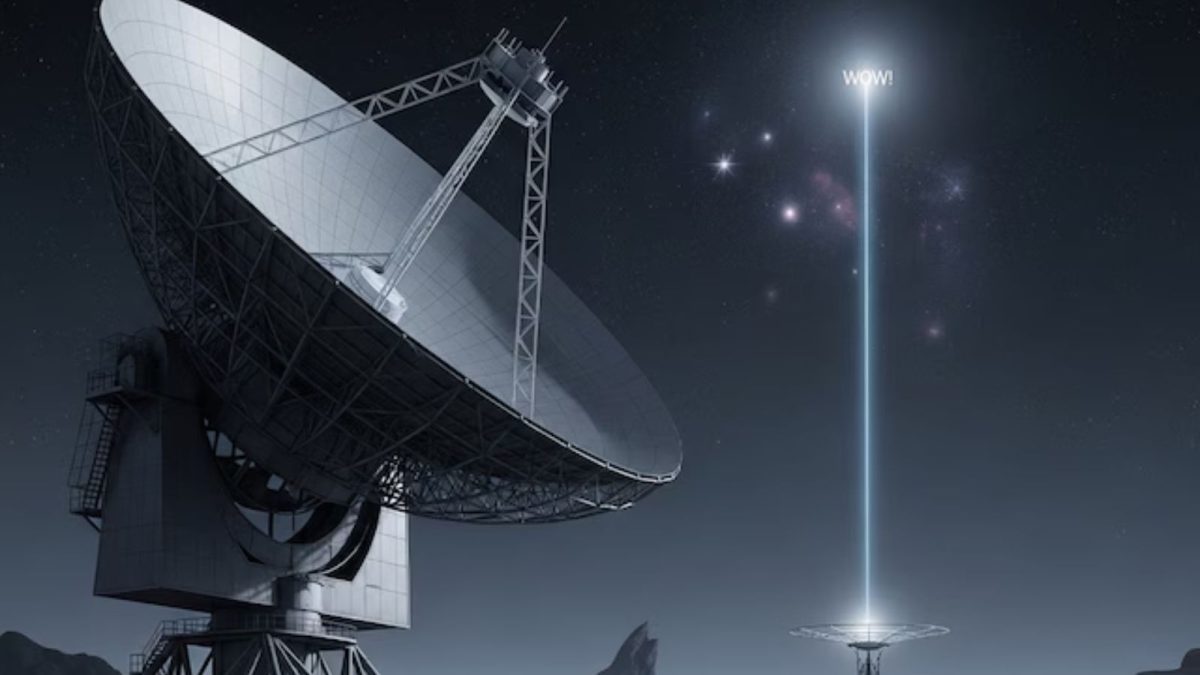 'Wow! Signal': A 72-Second Message From Deep Space That Scientists ...