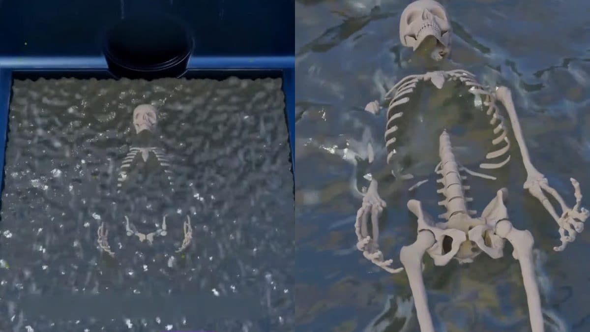 What Is Aquamation, The New Type Of Cremation Becoming Popular Abroad ...