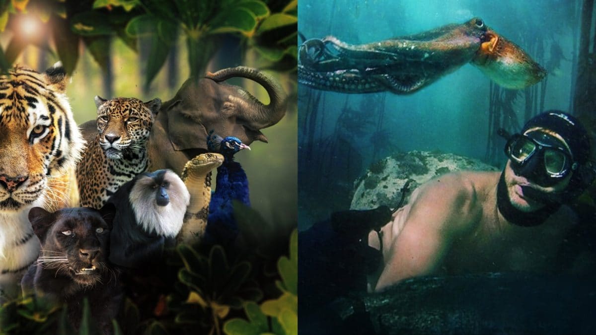 6 Wildlife Documentaries Perfect For Your Kids To Watch On OTT