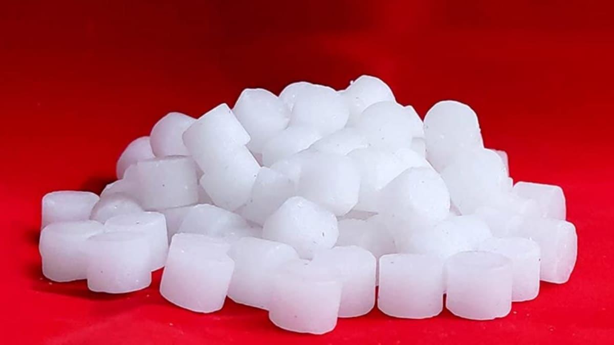 Where Does Camphor Come From And Why Does It Catch Fire Instantly ...