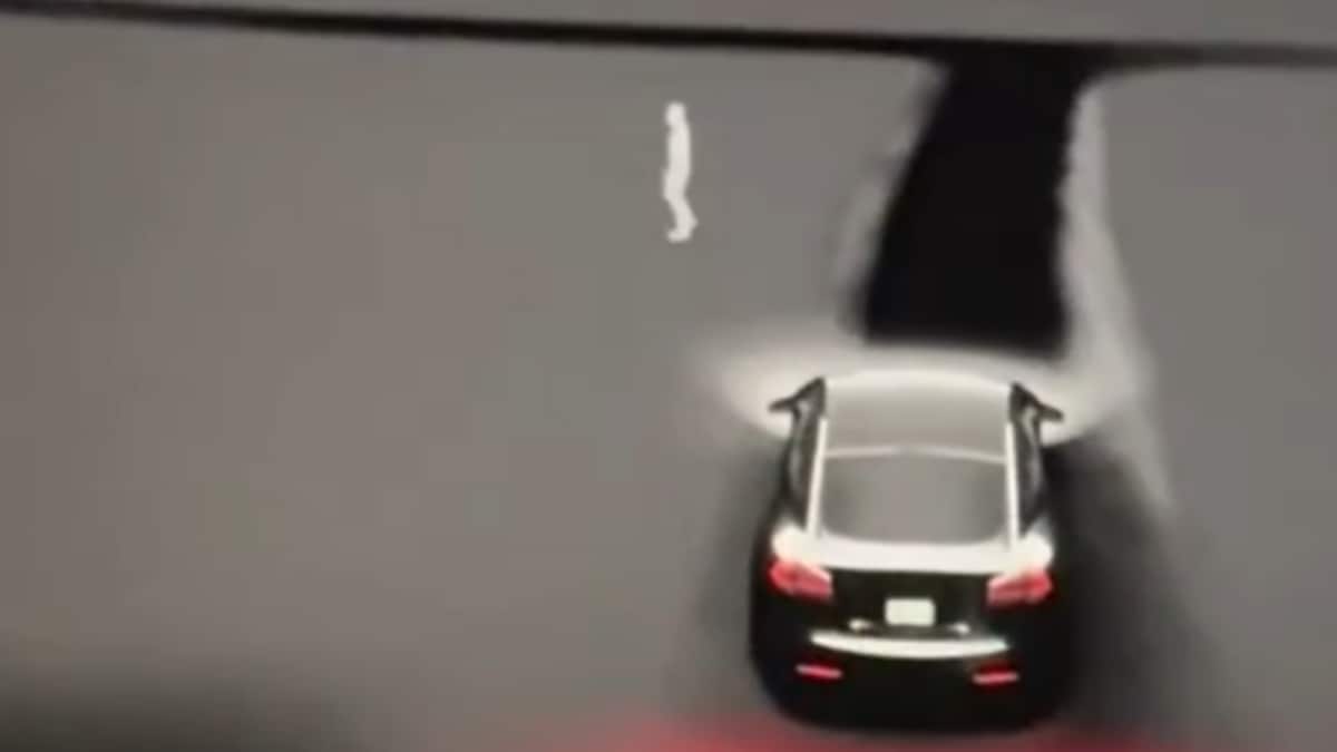 Tesla Owners Shocked As Screens Show ‘Ghostly’ Human-Like Creatures ...