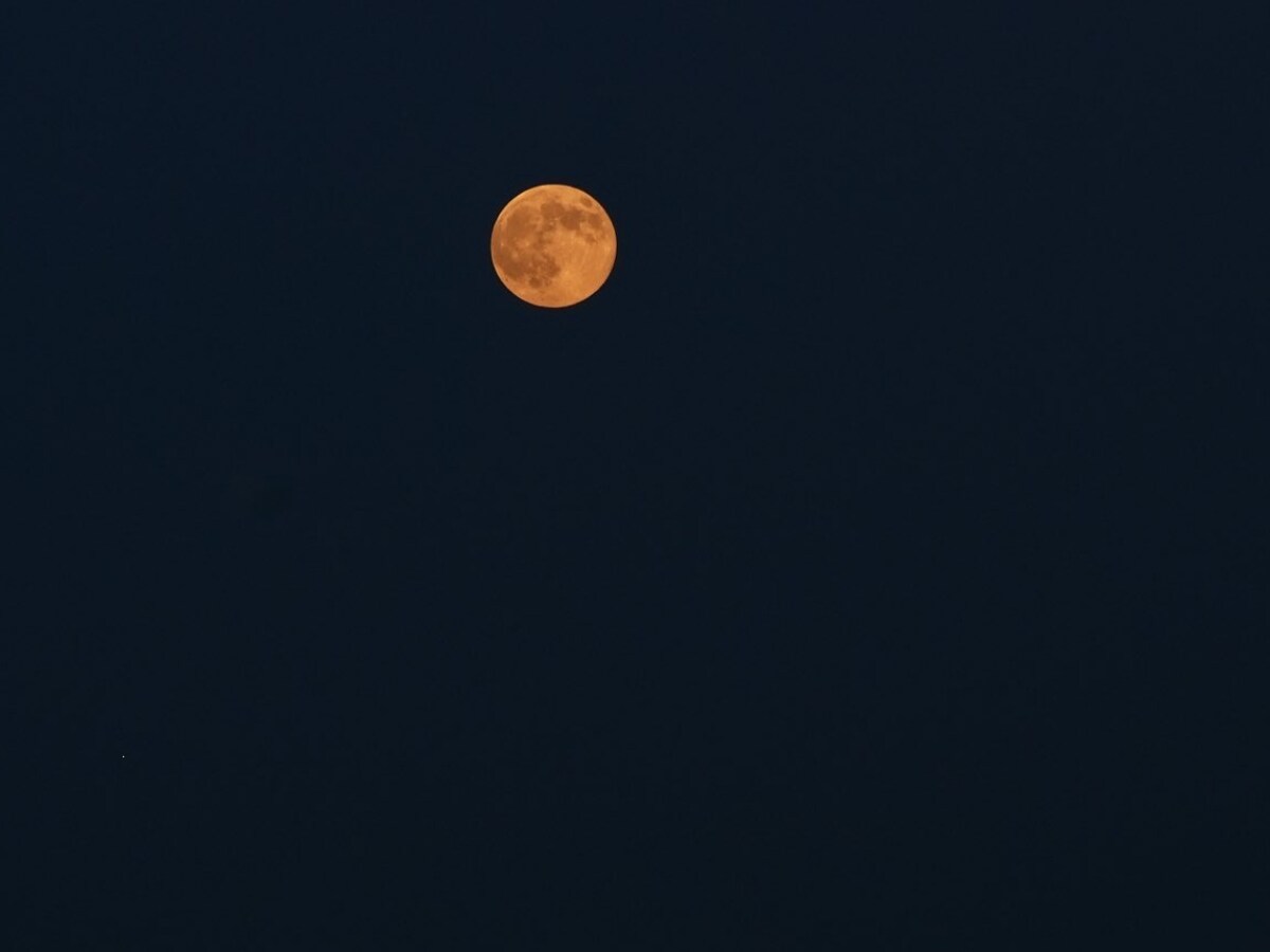From Delhi To Chennai, India Gazes At 2025's Brightest 'Beaver ...