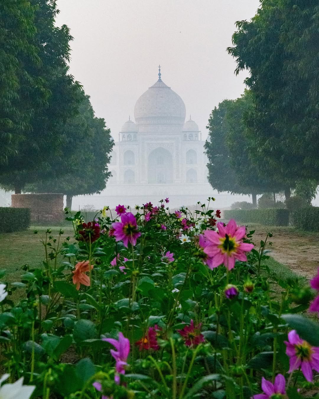 Taj Mahal’s Locked Chambers Secret Revealed: What Is Hidden Behind The ...