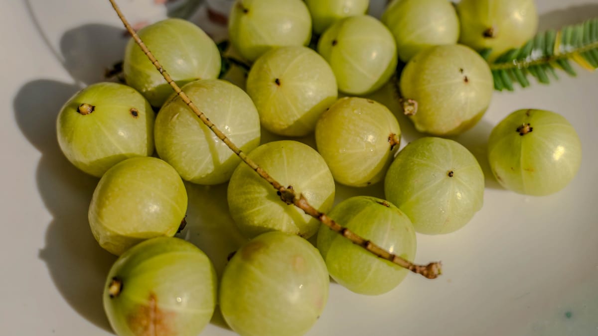Why Eating Amla Every Day Could Be The Simplest Health Boost You Need ...