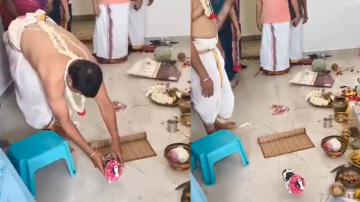 Toy Cow Replaces ‘Gau Mata’ At Desi Family’s Griha Pravesh Ritual ...