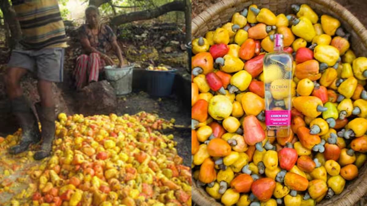 No Pain, No Hangover: The Origin Story Of Goa's Most Famous Drink Is ...