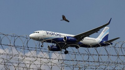 IndiGo Mumbai-Dehradun Flight Damaged In Bird Strike, Lands Safely With ...