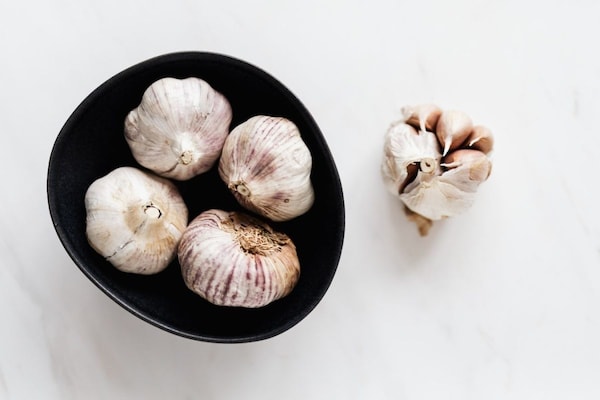 Garlic News: Latest Garlic News and Updates at News18
