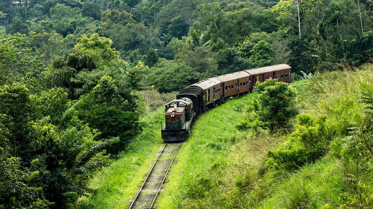 Thinking Of Visiting Sri Lanka? Here’s What Rs 100 Will Get You There