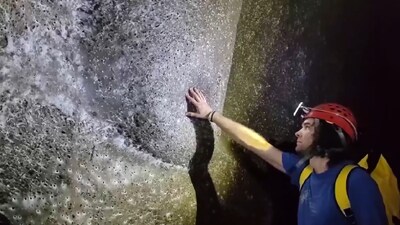 Scientists Find World’s Largest Spider Web, Packed With Over 100,000 ...