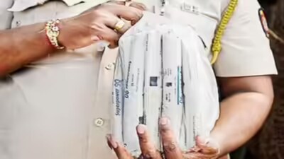 Huge Cache Of Explosives Found Near Uttarakhand School; Almora Police ...