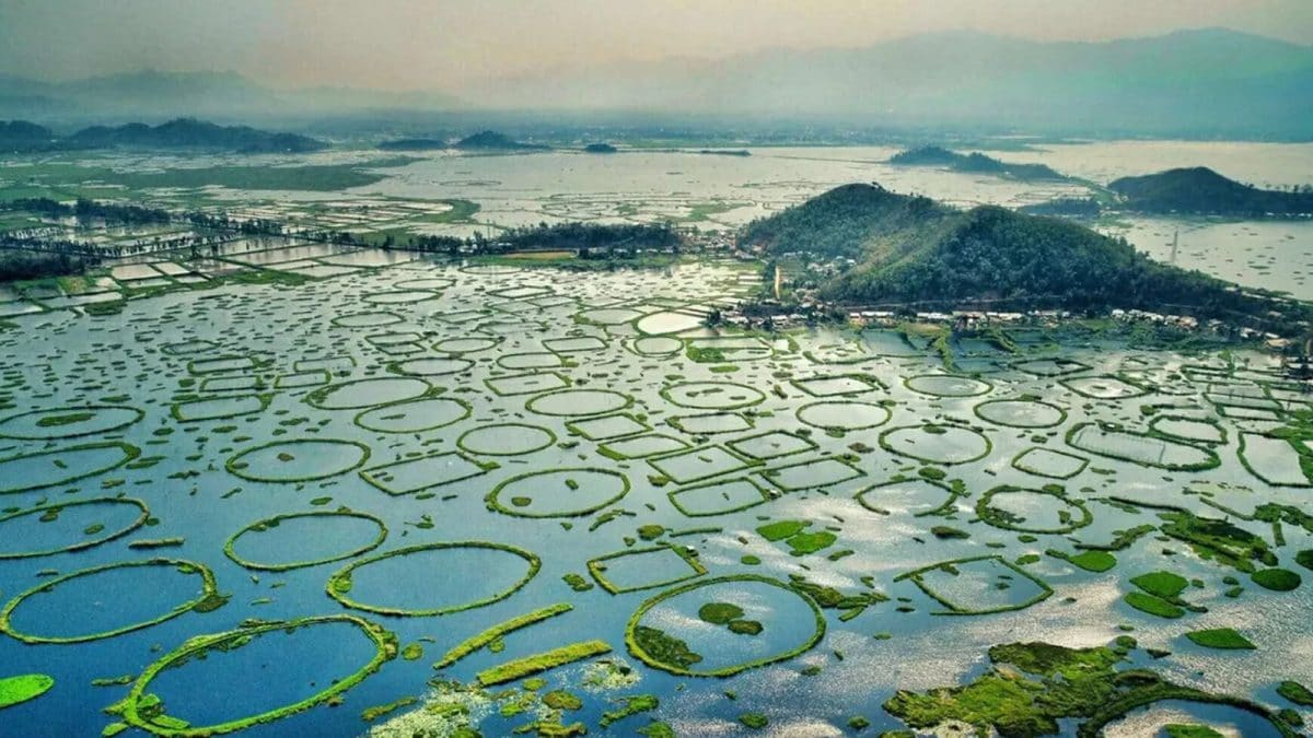 Loktak Lake: Manipur’s Lake of Tears and Unique Floating National Park