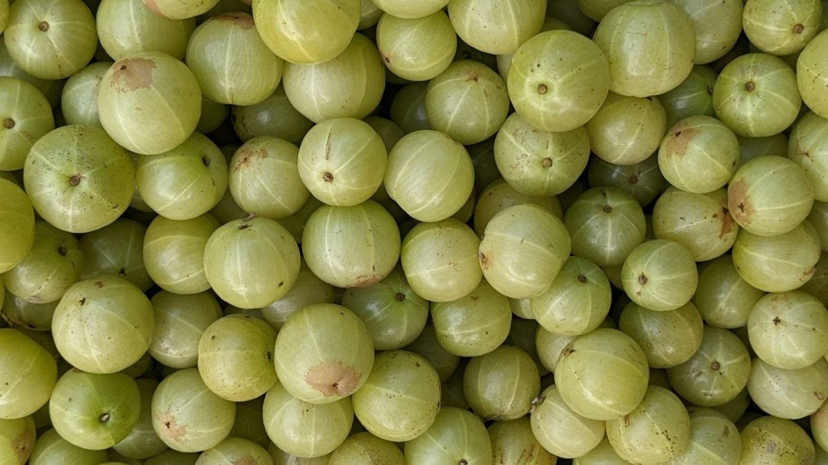This Amla Shot Is Perfect Everyday Immunity Boosting Pick-Up Drink On ...