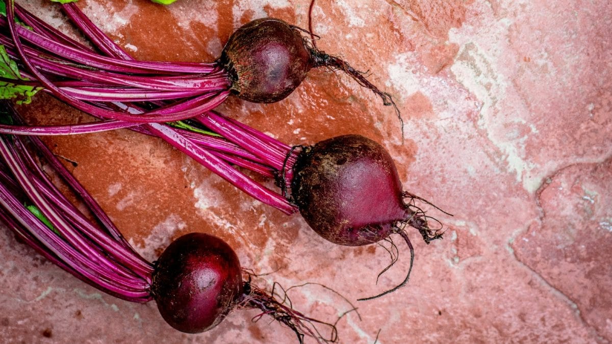 What Makes Beetroot The Perfect Winter Superfood For Immunity, Skin And ...