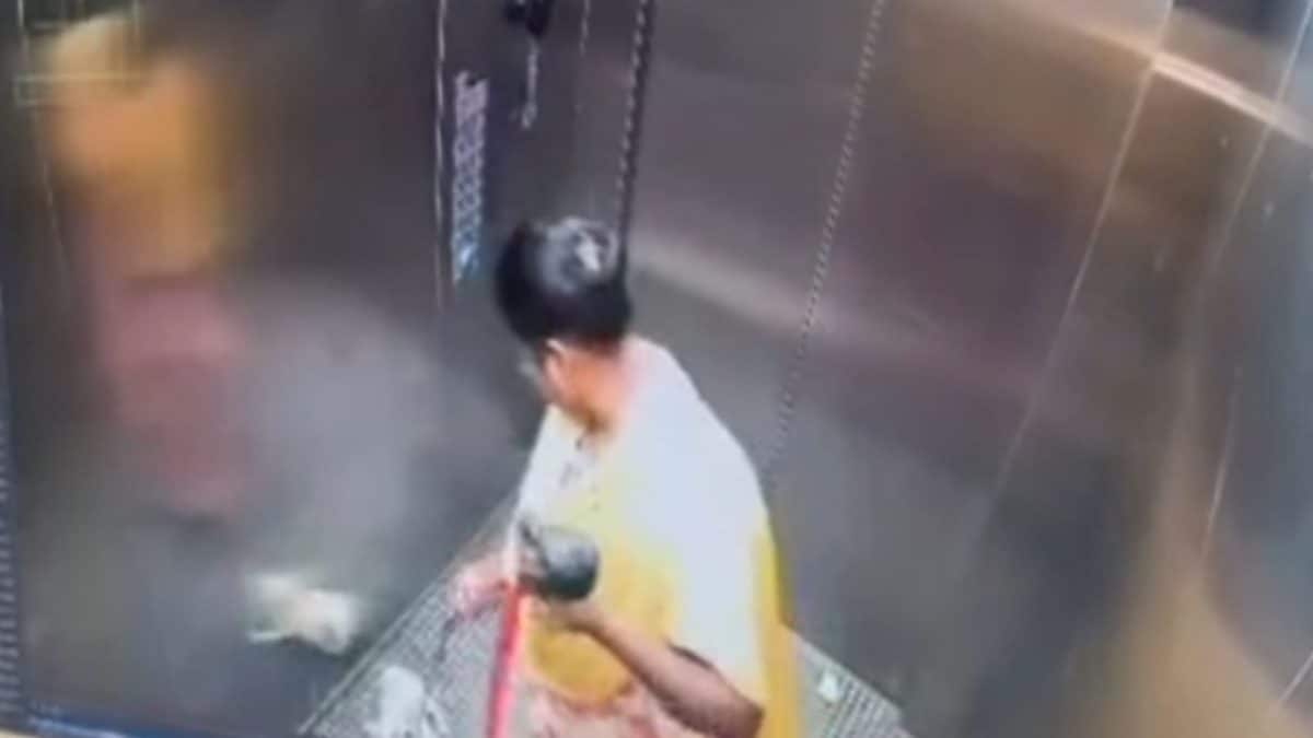 Bengaluru Help Held For Killing Dog: CCTV Footage Shows Woman Slamming ...