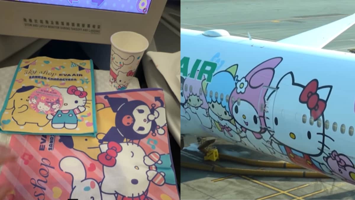 Man Travels In Hello Kitty, Snoopy And Pokemon Themed Flights, Internet ...