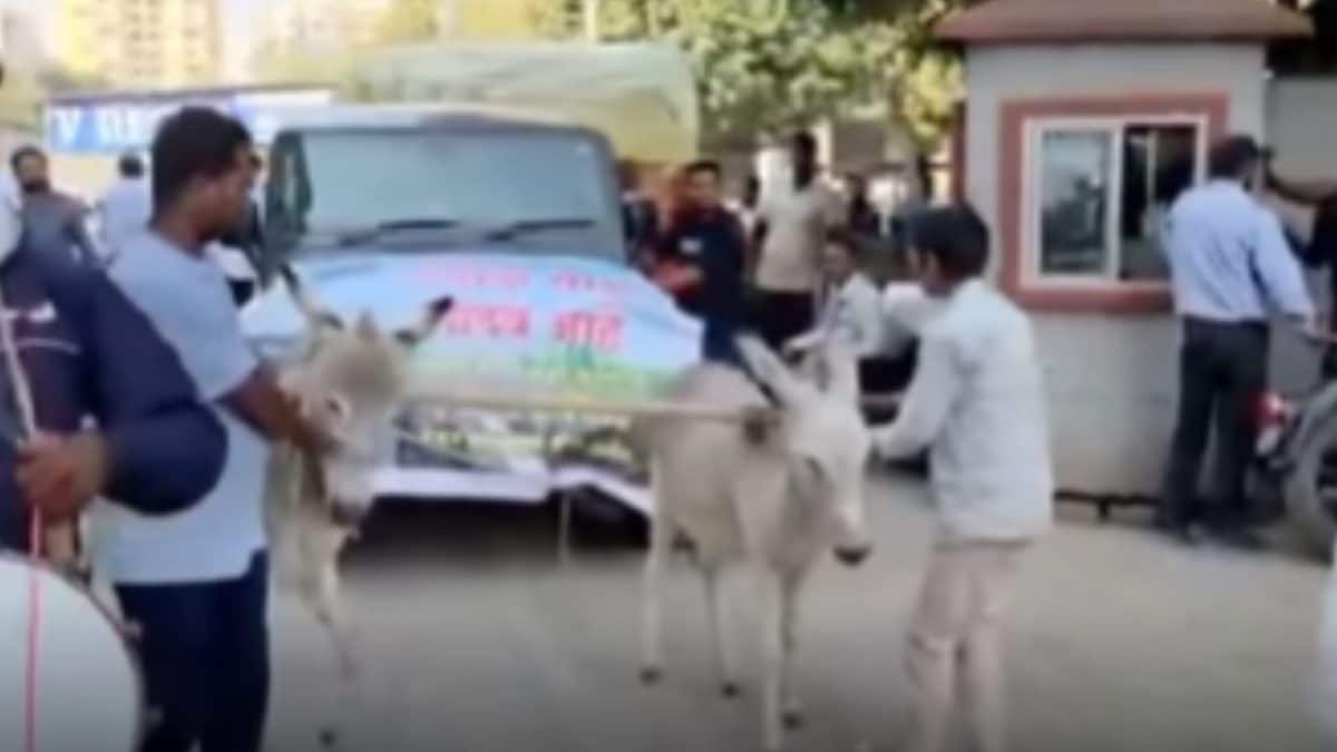 Maharashtra Man Tows Mahindra Thar With Donkeys In Dramatic Protest ...