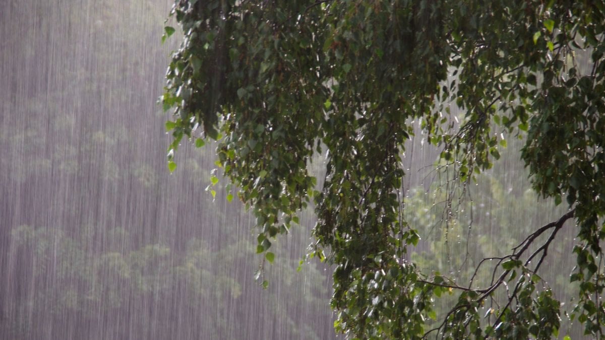 Weekend Weather Update: Bengaluru To See Rain Till Sunday ...