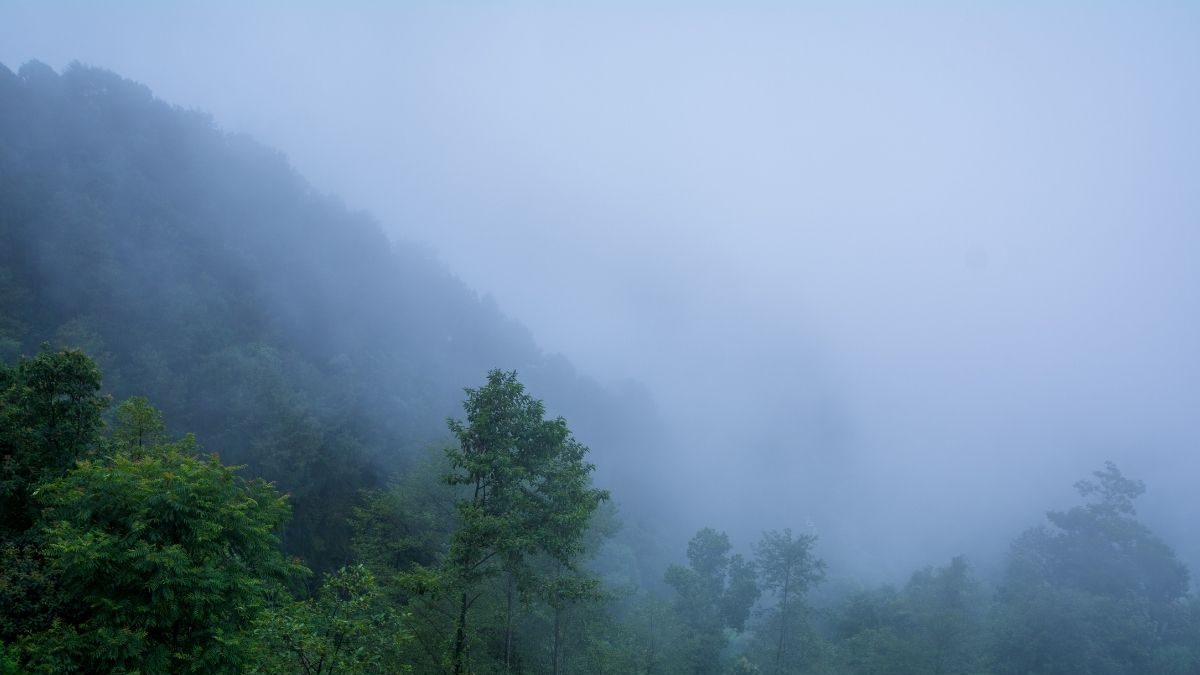 Bengaluru Weather Update: Yellow Alert Issued As Cold Wave And Dense ...