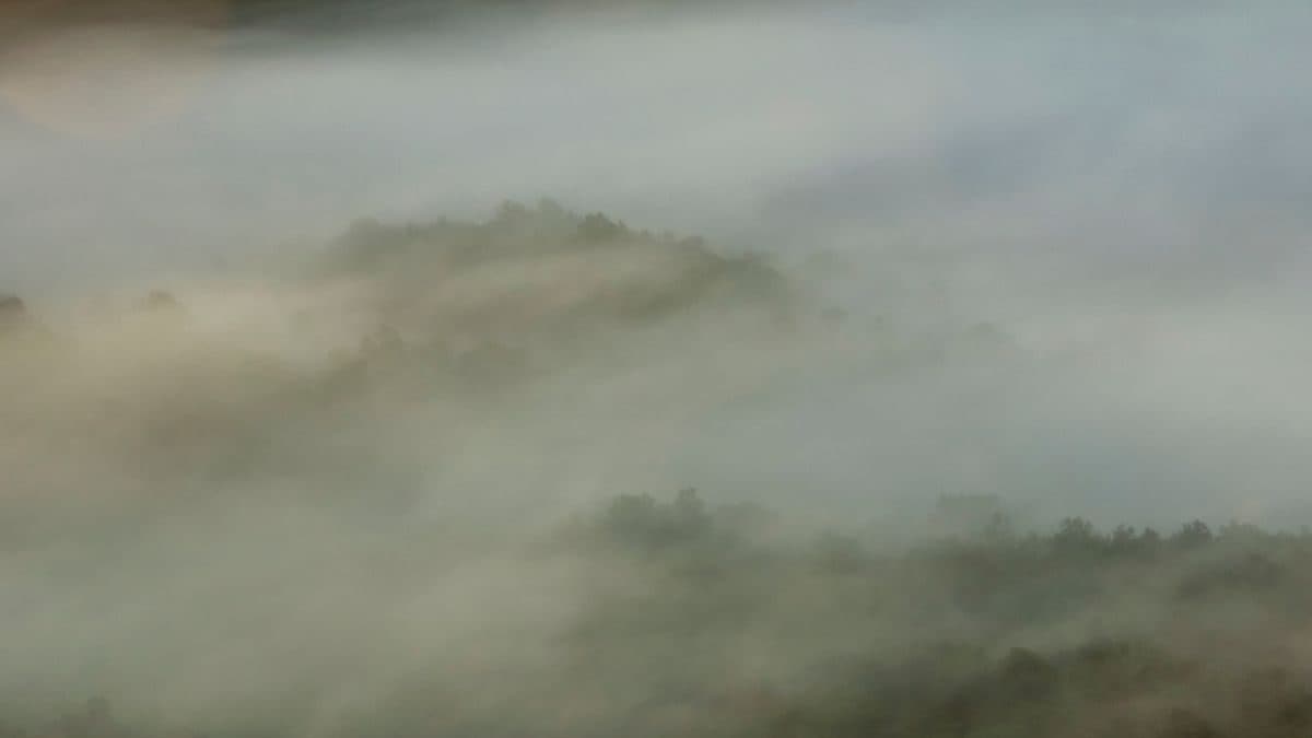 Bengaluru Weather Update: Yellow Alert Issued As Cold Wave And Dense ...