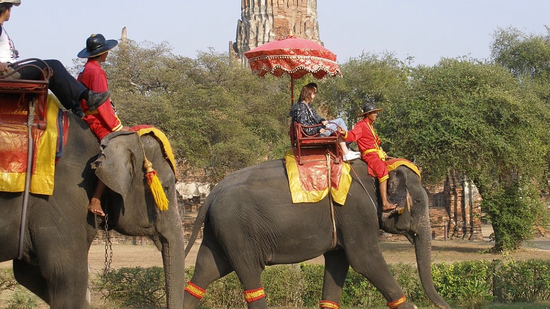 GK: This Asian Country Is Called The Land Of White Elephants, Can You ...