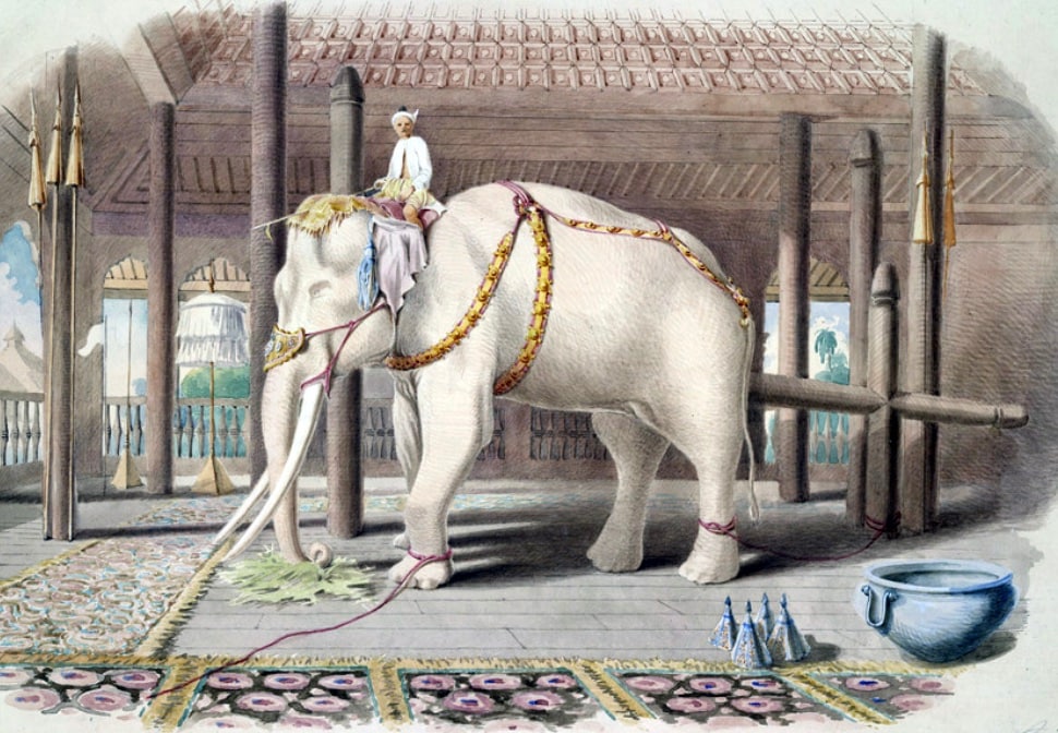 GK: This Asian Country Is Called The Land Of White Elephants, Can You ...
